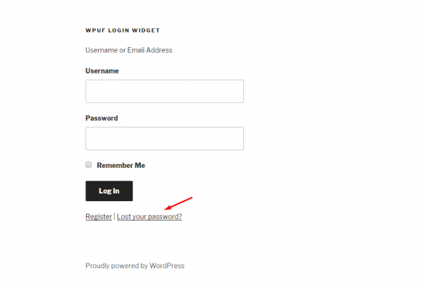 How to Customize User Login Widget - weDevs