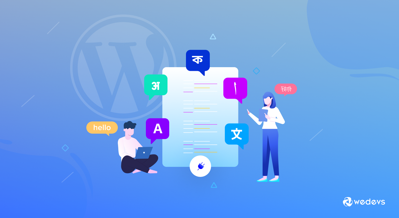 Translate Functions Of WordPress Plugins Learn All You Need To Know In 2023 WeDevs