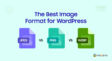 JPEG vs PNG vs WEBP: The Best Image Format for WordPress - weDevs